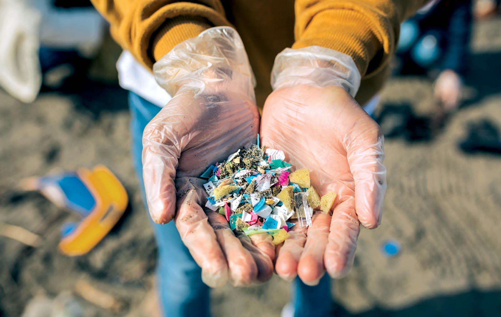 Consumers unaware clothes cause microplastic pollution - Professional ...